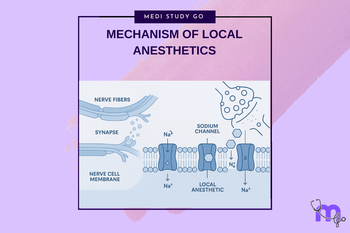Mechanism of Local Anesthetics: Sodium Channel Blockade and Nerve Cond ...