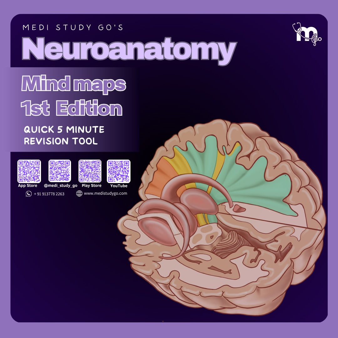 Neuroanatomy – Medi Study Go