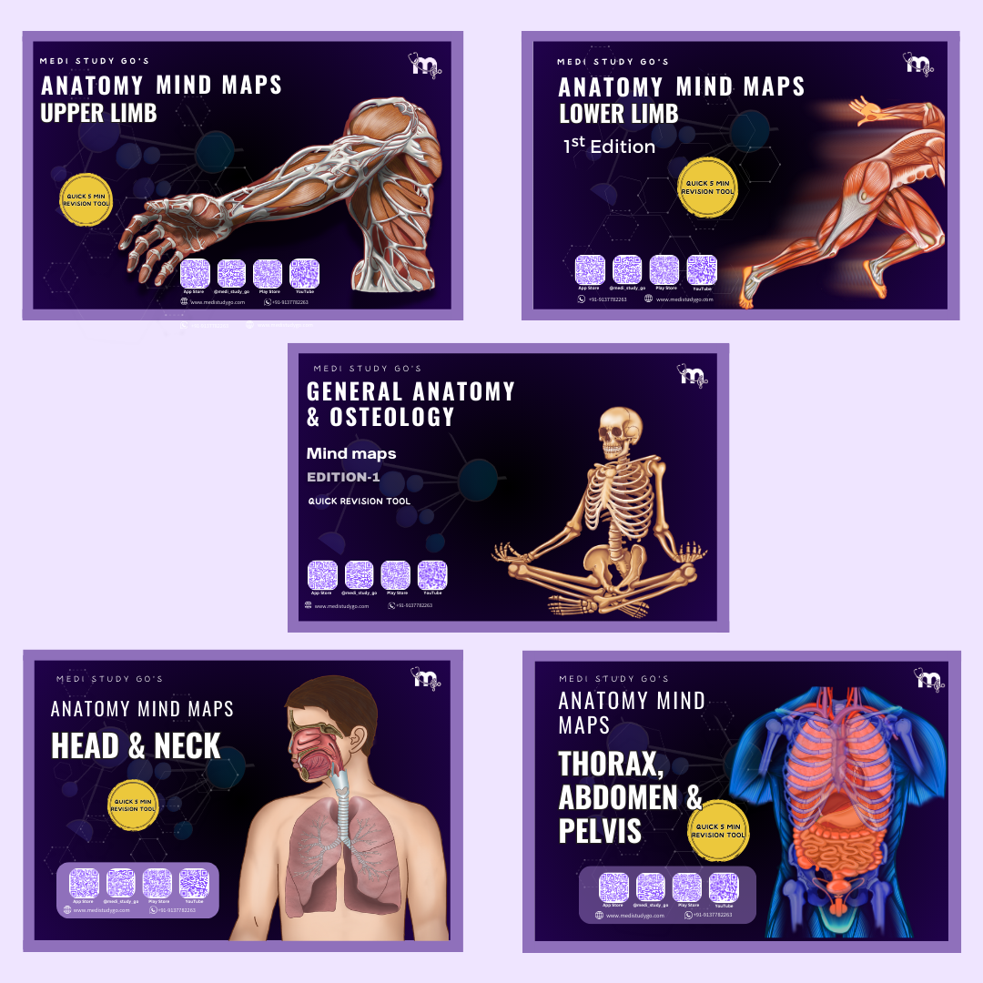 Anatomy bundle + General Anatomy + Osteology – Medi Study Go