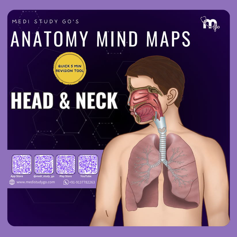 Head and Neck – Medi Study Go